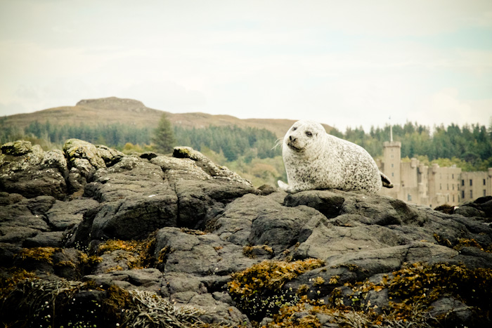 Visiting Dunvegan Castle on Scotland's Isle of Skye