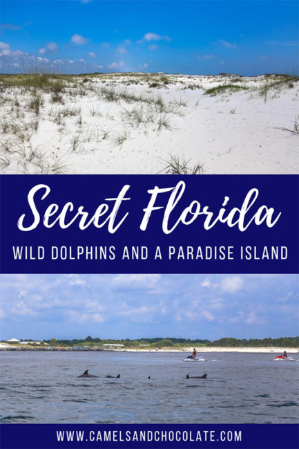 Secret Florida at Shell Island: Where the Dolphins Play - Camels ...
