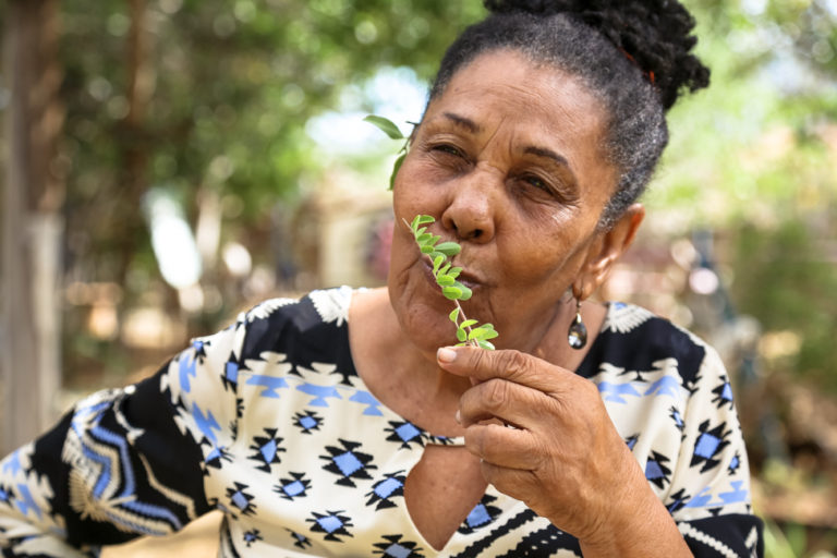 Girl Power on Curaçao: The Women of Willemstad - Camels & Chocolate ...