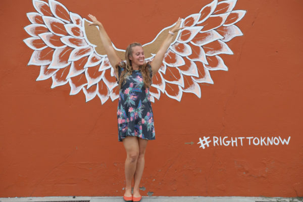 About Those Wings Murals: A Plea from Artists Everywhere
