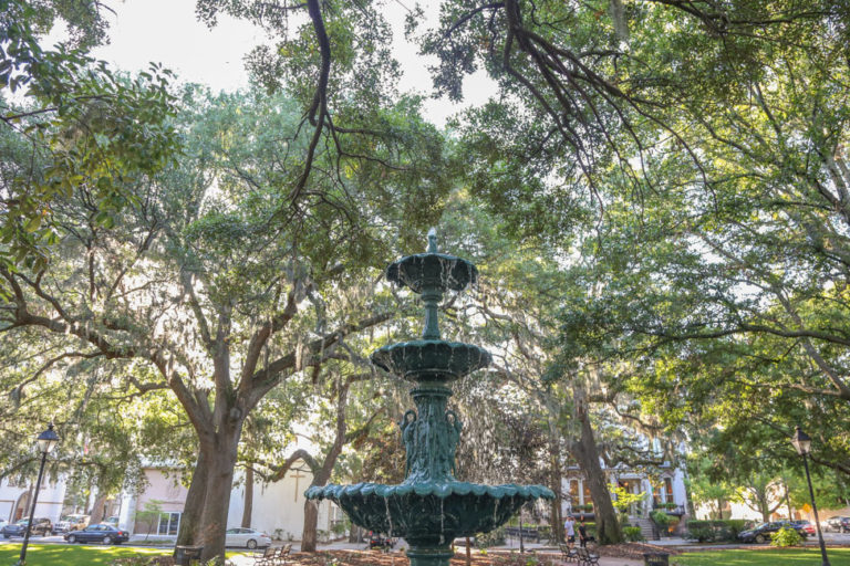 Beyond Savannah's Historic District: Activities for Every Travel Taste