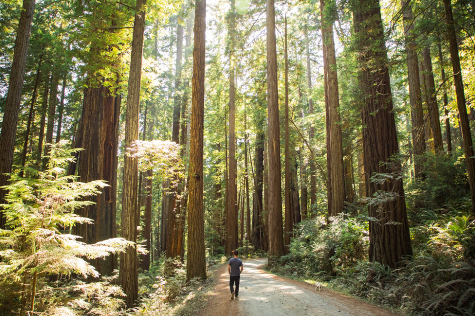 13 Tips to Help You Survive Travel This Summer