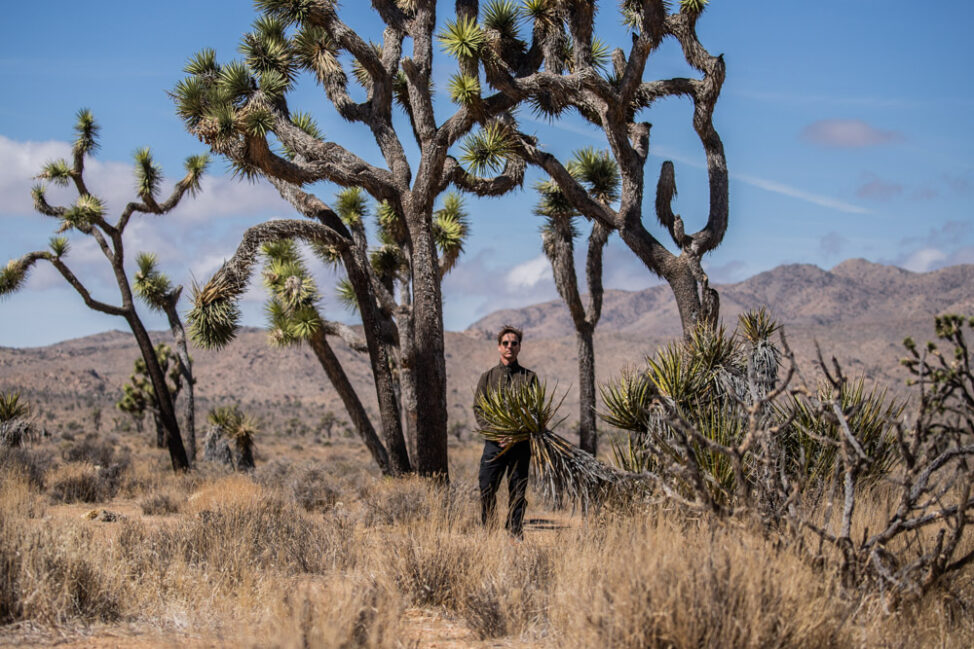 One Day in Joshua Tree: How to Visit the Instagram National Park