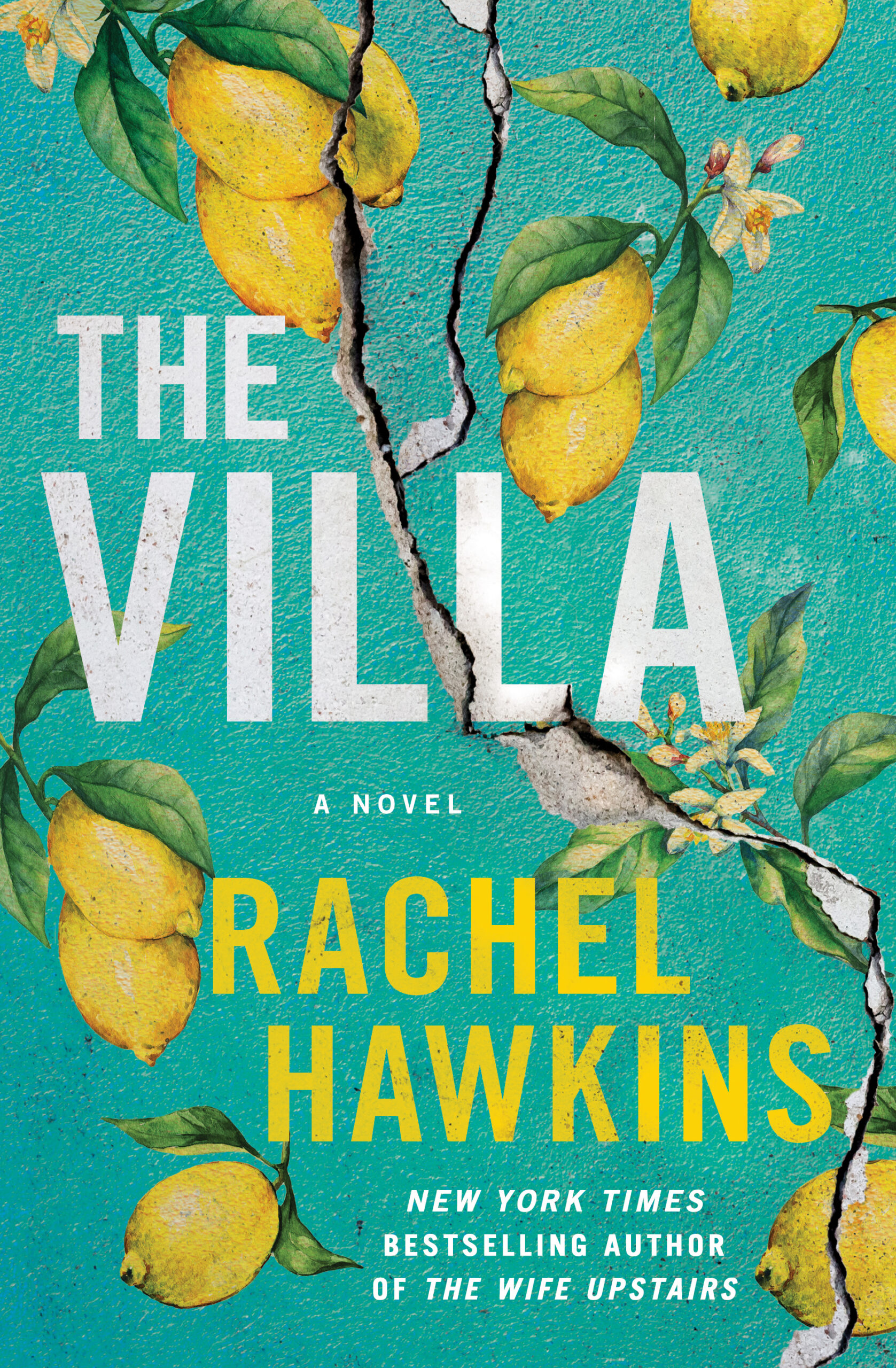Books a Million: What to Read This Summer