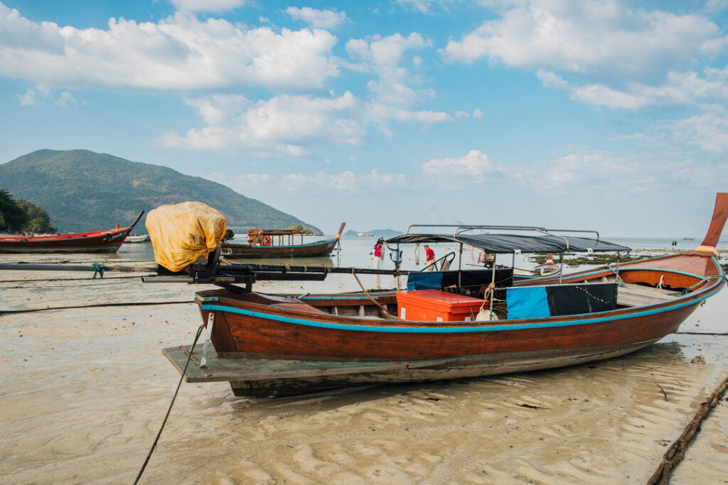 Traveling for (Almost) Free: A Guide to Rewards Flights - Camels ...